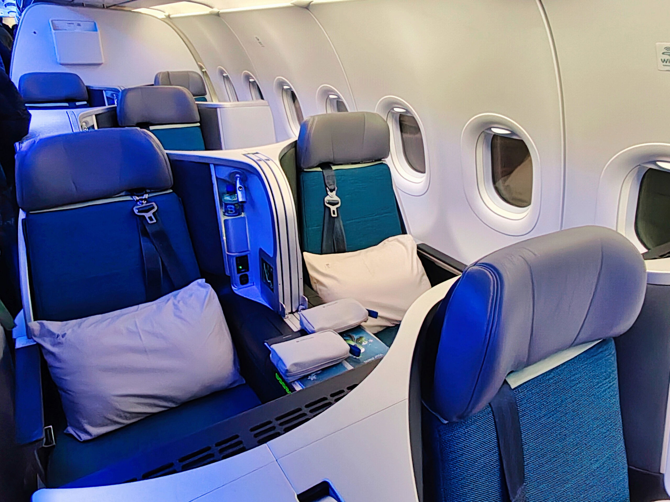 Aer Lingus A321 Business Class Review | Window Seat Preferred